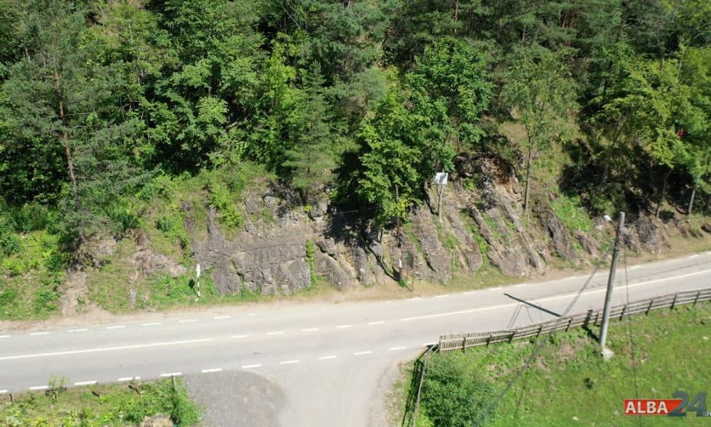 VIDEO: Rezervația de 65 de milioane de ani, din Apuseni. Dealul cu ...