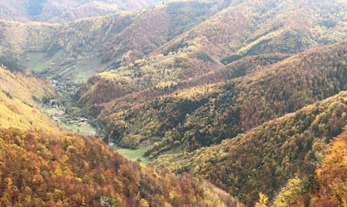 FOTO: Un nou traseu turistic în Munții Apuseni, inaugurat de Salvamont ...