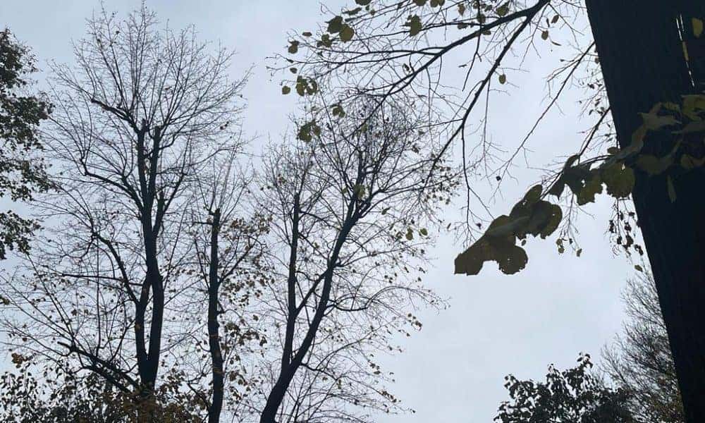 Vremea în Alba, săptămâna 20-26 noiembrie: Vreme capricioasă, cu frig ...